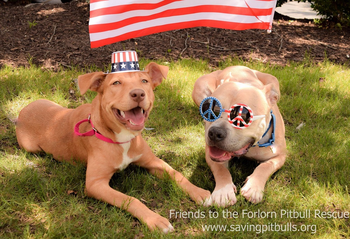 Seven Tips to End Your 4th of July Holiday with Ease and Calm